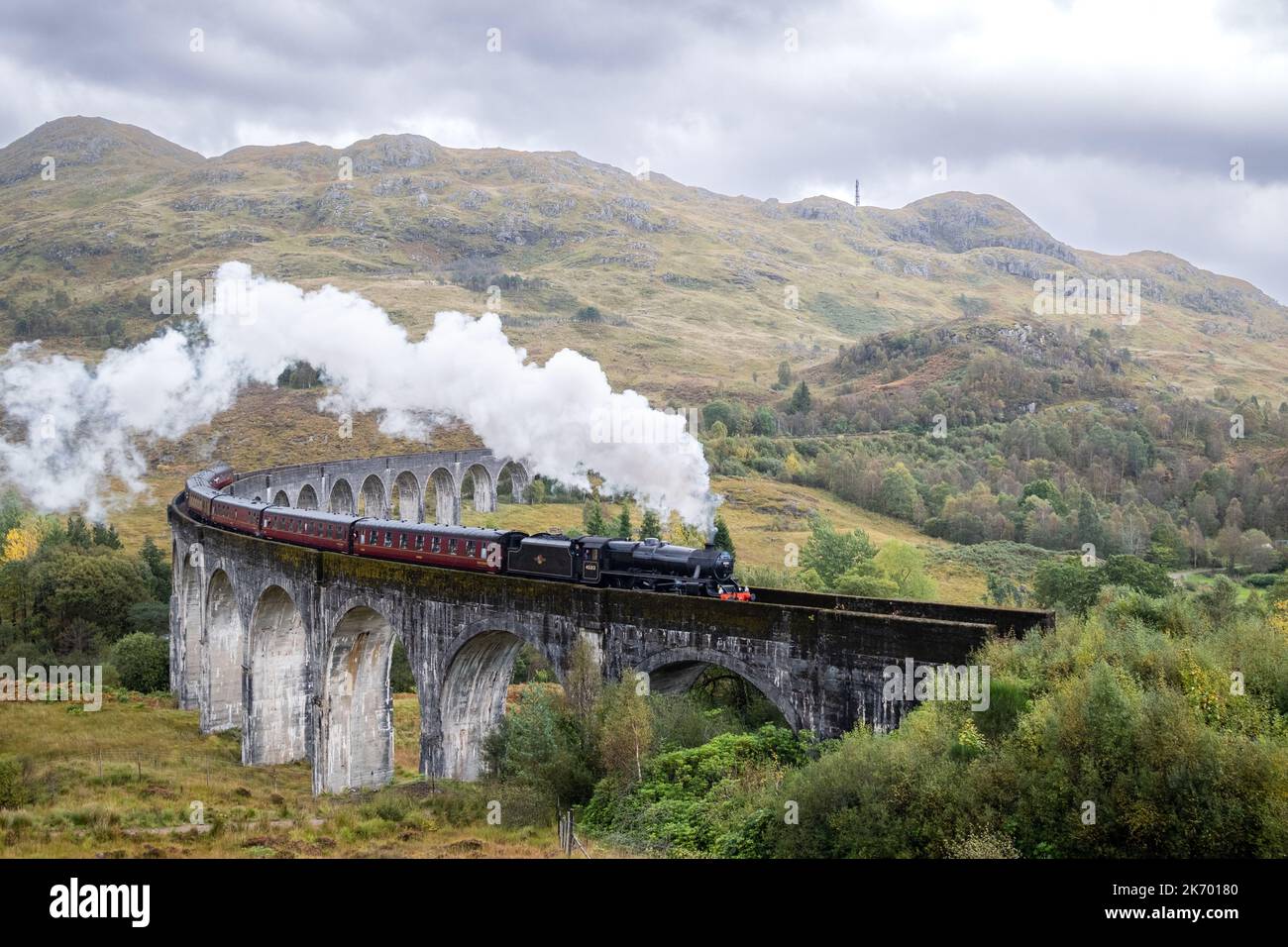 Wildlife and nature in the Scottish borders and Highlands Stock Photo ...