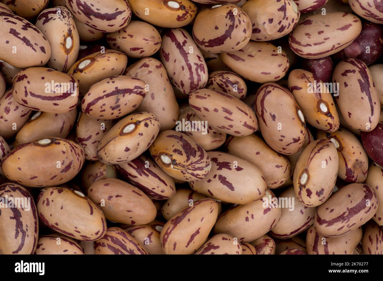 Textura De Frijoles Pintos Frijol Pinto Americano Calidad Premium 5kg