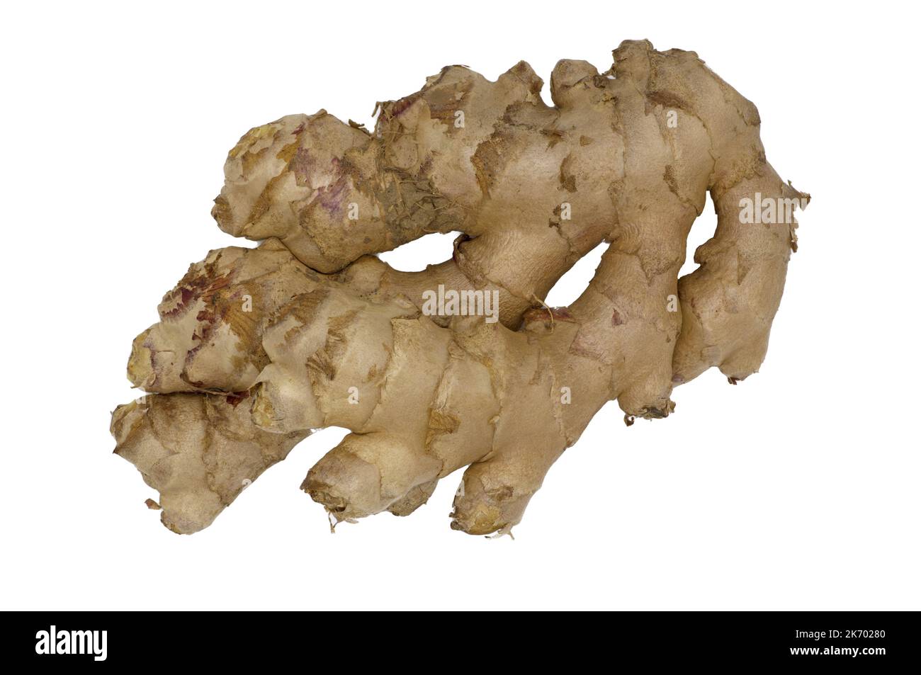 High angle of whole fresh ginger root or rhizome (Zingiber officinale ... High angle of whole fresh ginger root or rhizome (Zingiber officinale ...