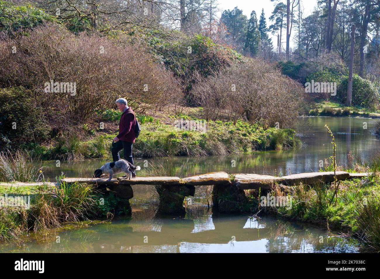 Garden pond ponds bridge hi-res stock photography and images - Alamy