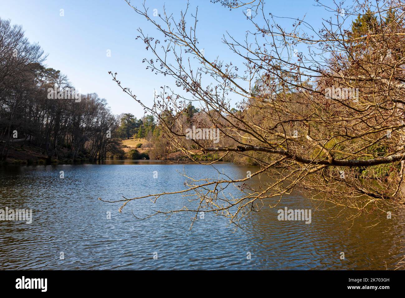 New Pond, with the Deer Park beyond: Leonardslee Gardens, West Sussex ...