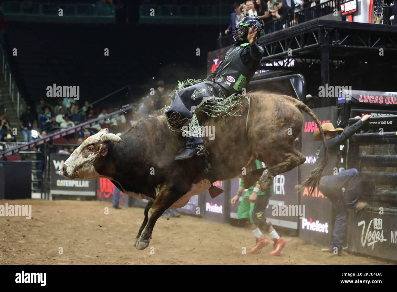 Glendale, Arizona, USA. 15th Oct, 2022. GLENDALE, AZ - OCTOBER 15 ...