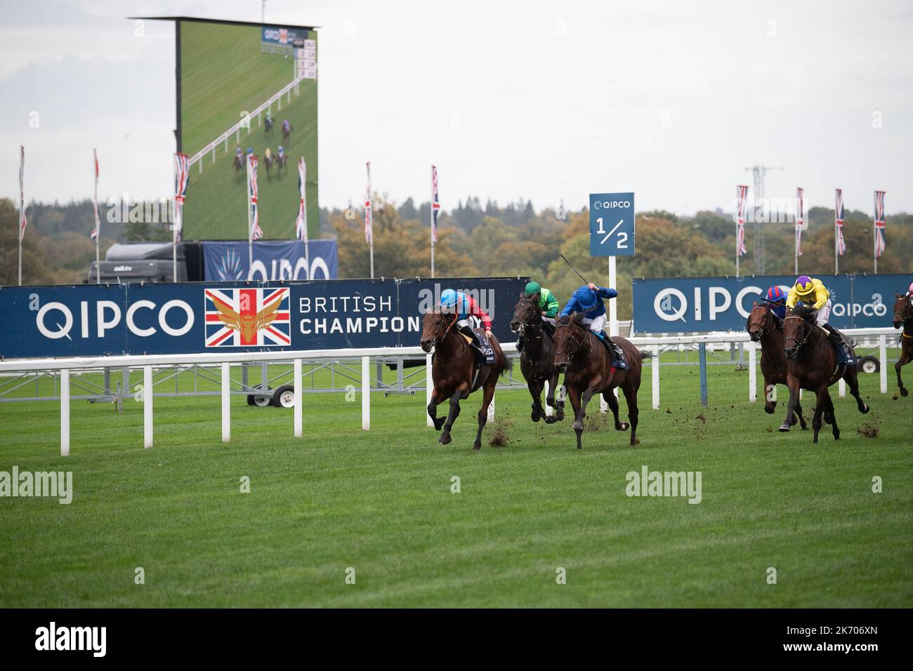 James wigan and ballylinch stud hi-res stock photography and images - Alamy