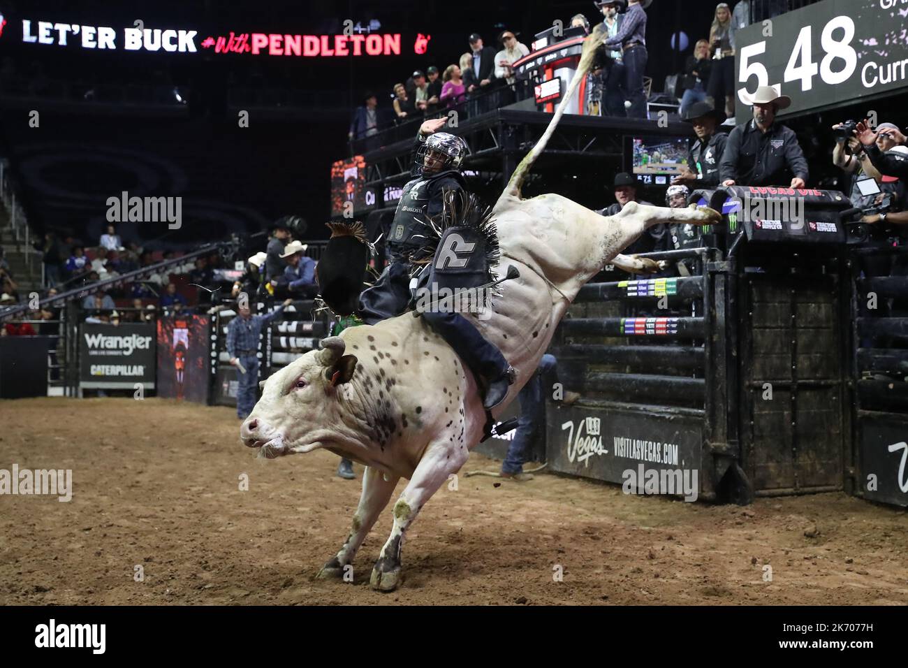 Glendale, Arizona, USA. 15th Oct, 2022. GLENDALE, AZ - OCTOBER 15 ...