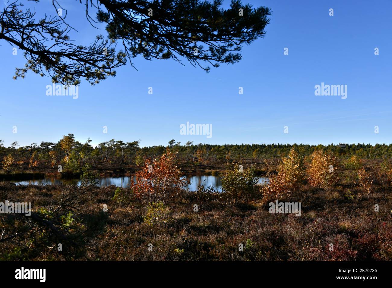Bavarian rhon biosphere reserve hi-res stock photography and images - Alamy