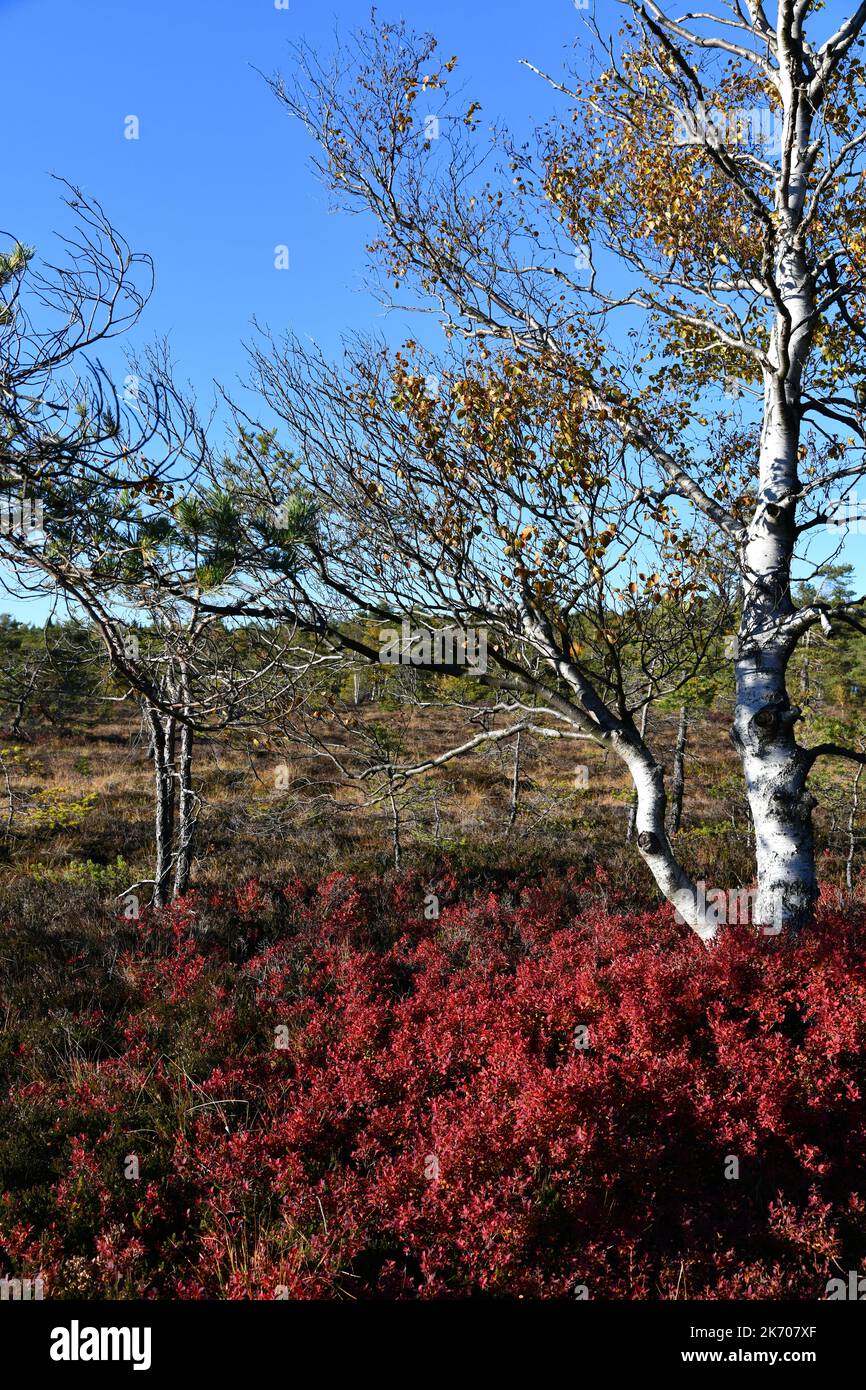 Bavarian rhon biosphere reserve hi-res stock photography and images - Alamy