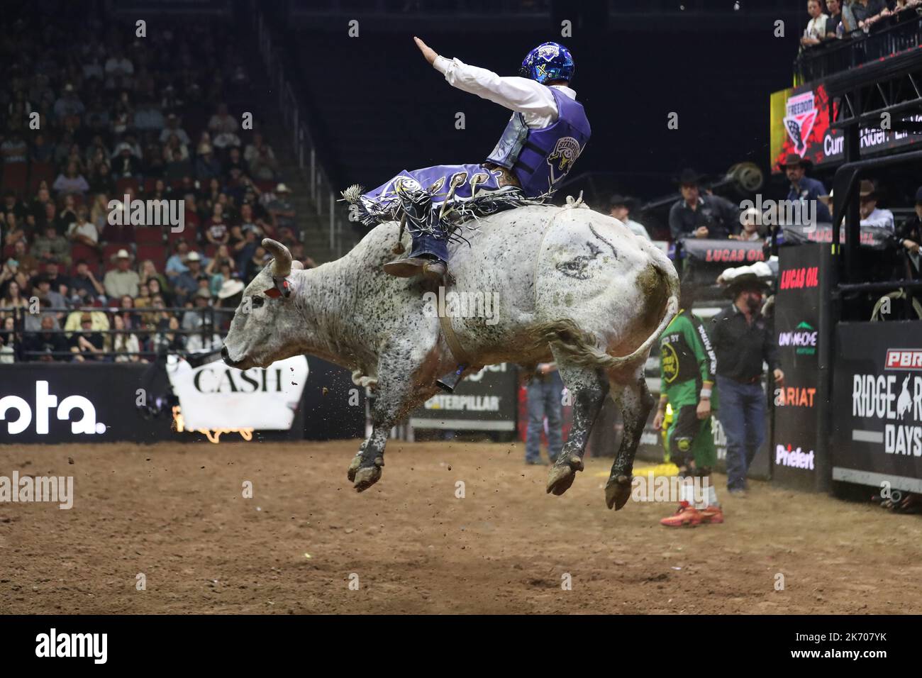 Glendale, Arizona, USA. 15th Oct, 2022. GLENDALE, AZ - OCTOBER 15 ...