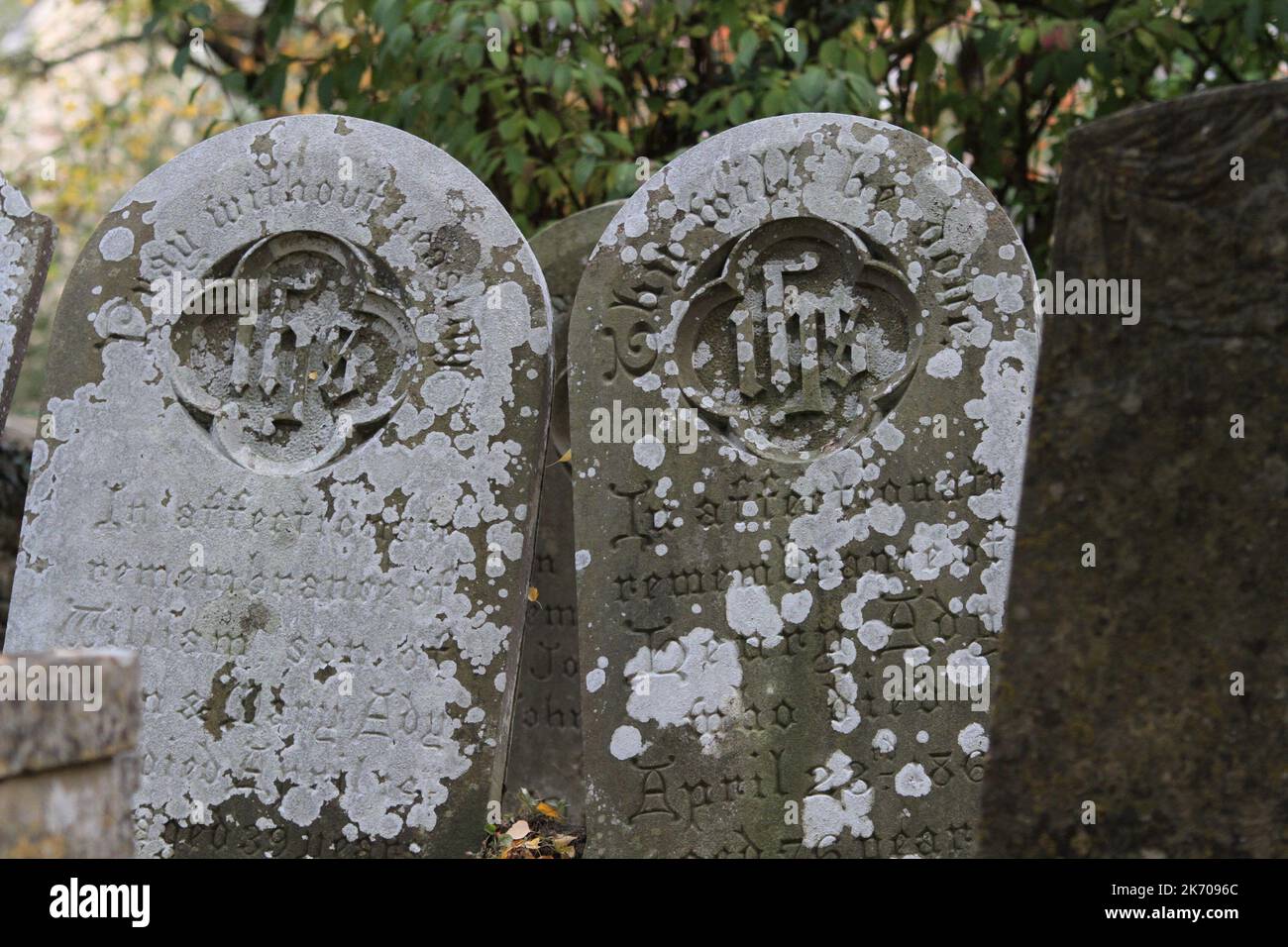 Two decorative grave stones close together, surrounded by more in a ...
