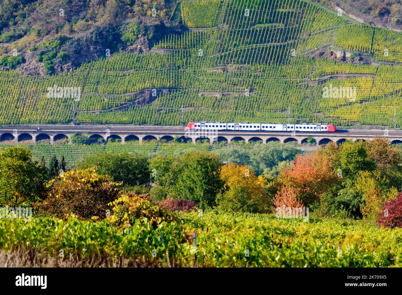 DEU, Deutschland, Germany, Rheinland-Pfalz, Puenderich, 11.10.2022: ein ...