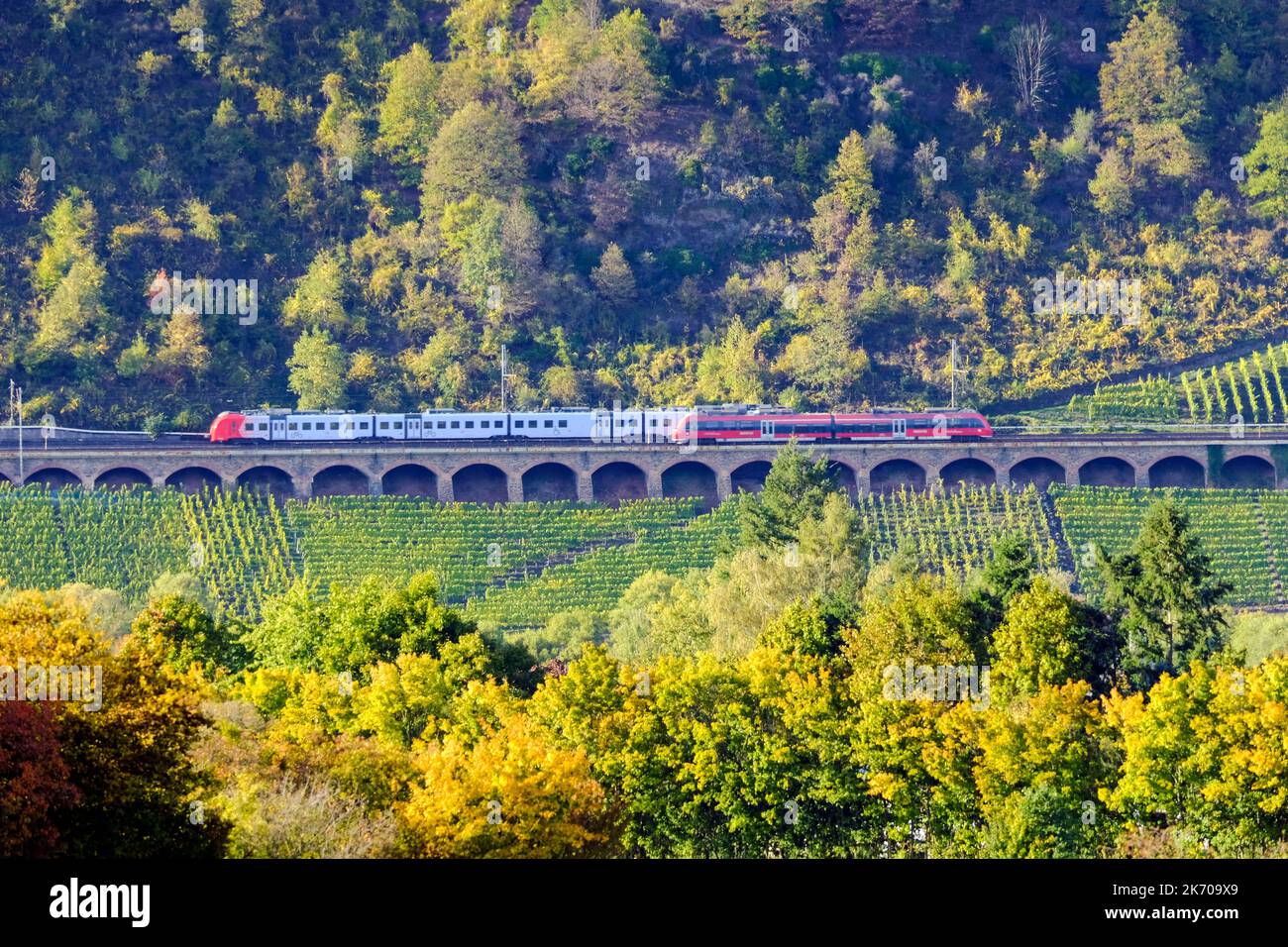 DEU, Deutschland, Germany, Rheinland-Pfalz, Puenderich, 11.10.2022 ...