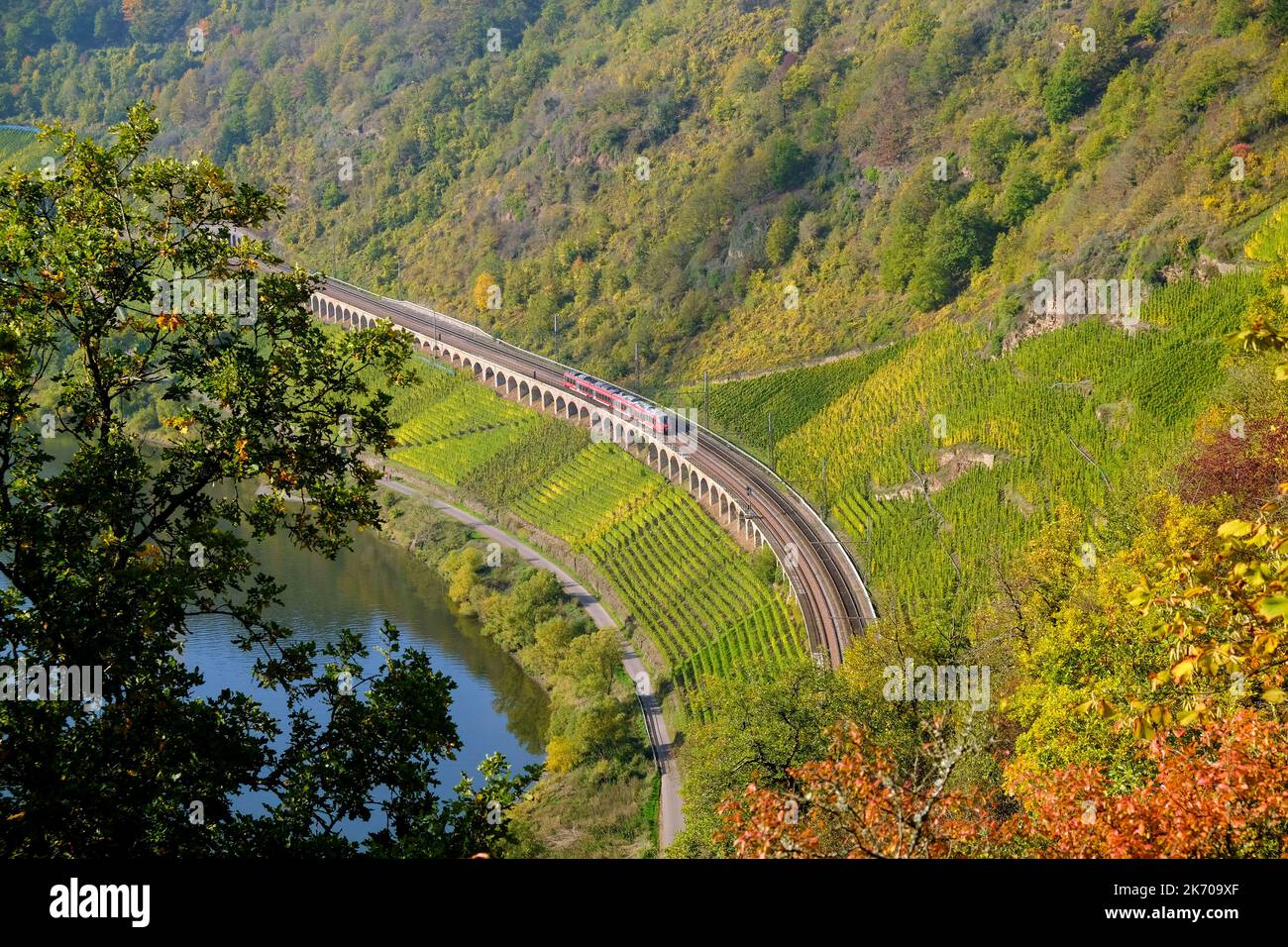 DEU, Deutschland, Germany, Rheinland-Pfalz, Puenderich, 11.10.2022: ein ...