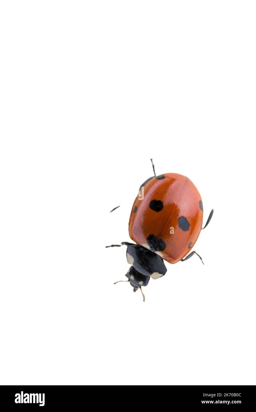 Beautiful garden spot Cut Out Stock Images & Pictures - Alamy