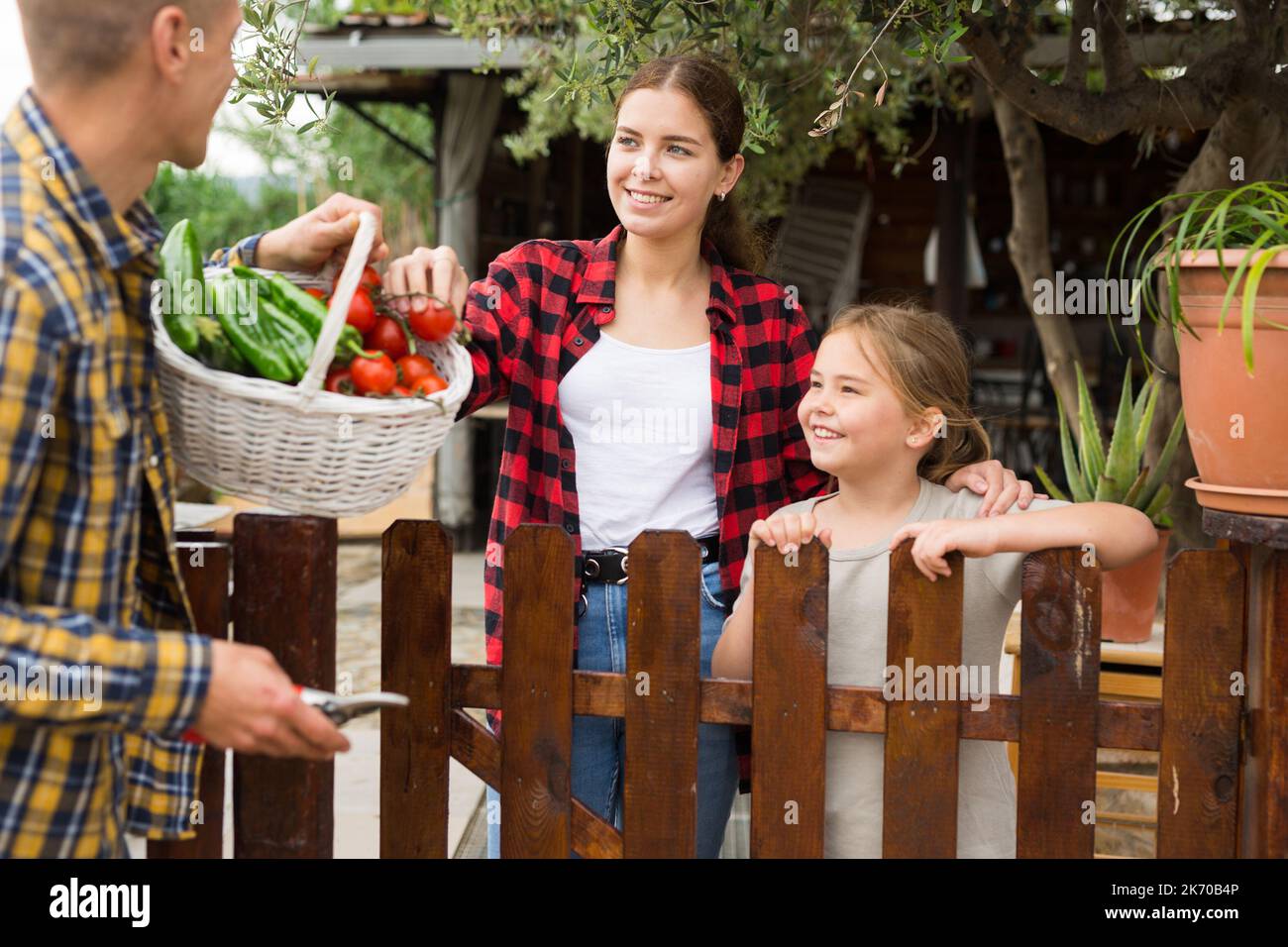 Good neighbors communicate while standing by fence between houses Stock ...