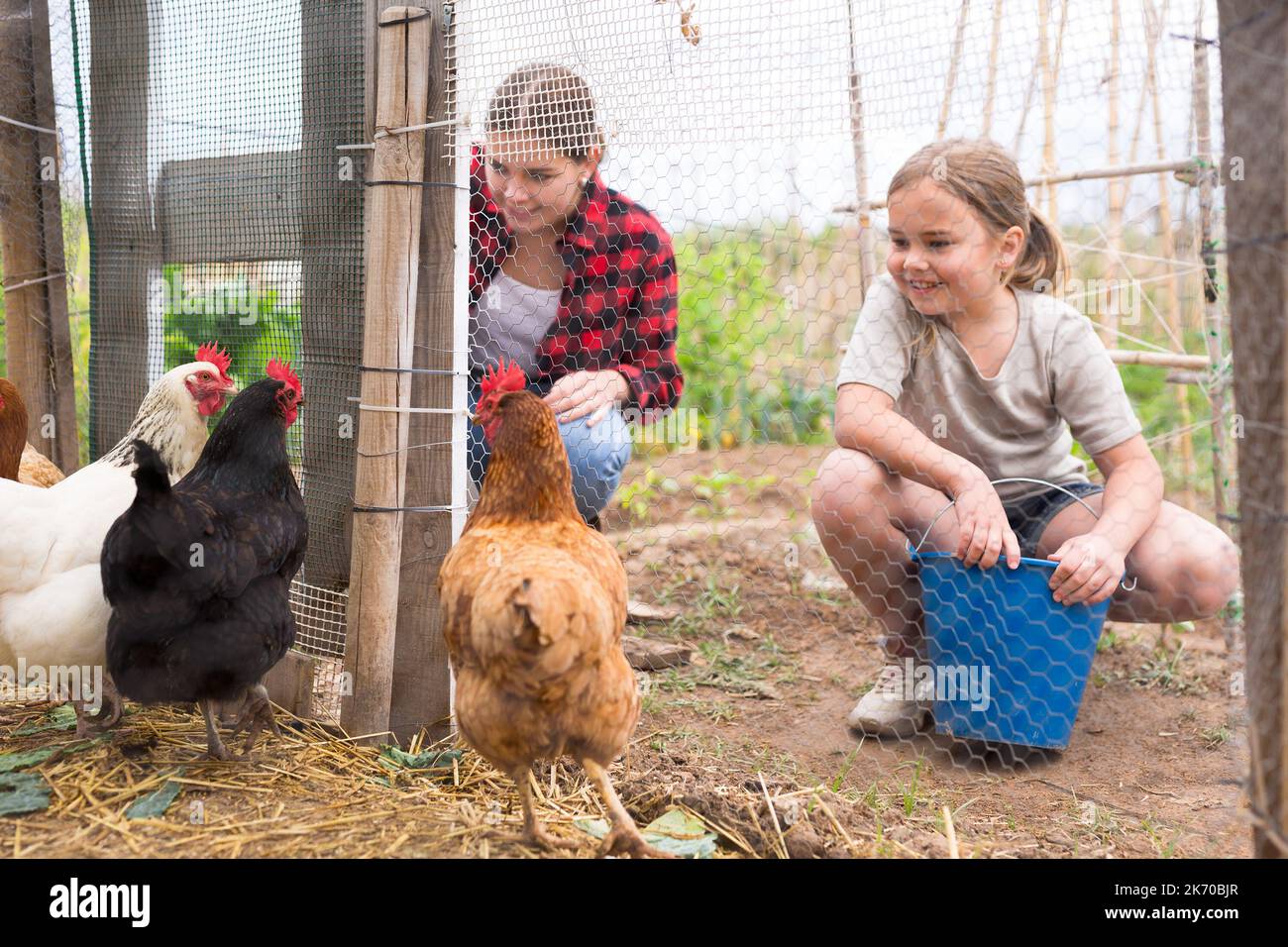 Little girl with her mom feeding hen in a chicken pen Stock Photo - Alamy