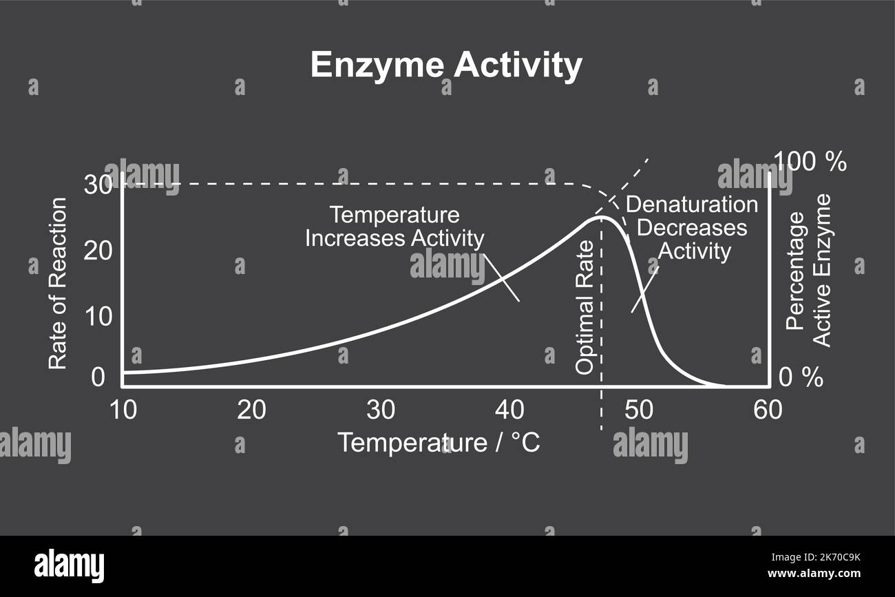 Activity unit Stock Vector Images - Alamy