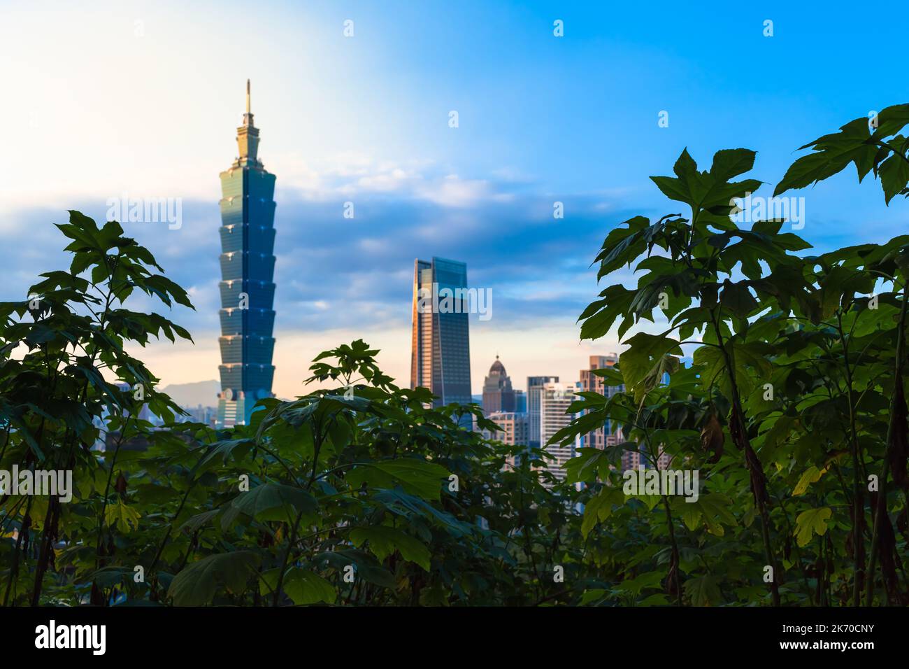 Green plant leaves and buildings of Taipei background Stock Photo - Alamy