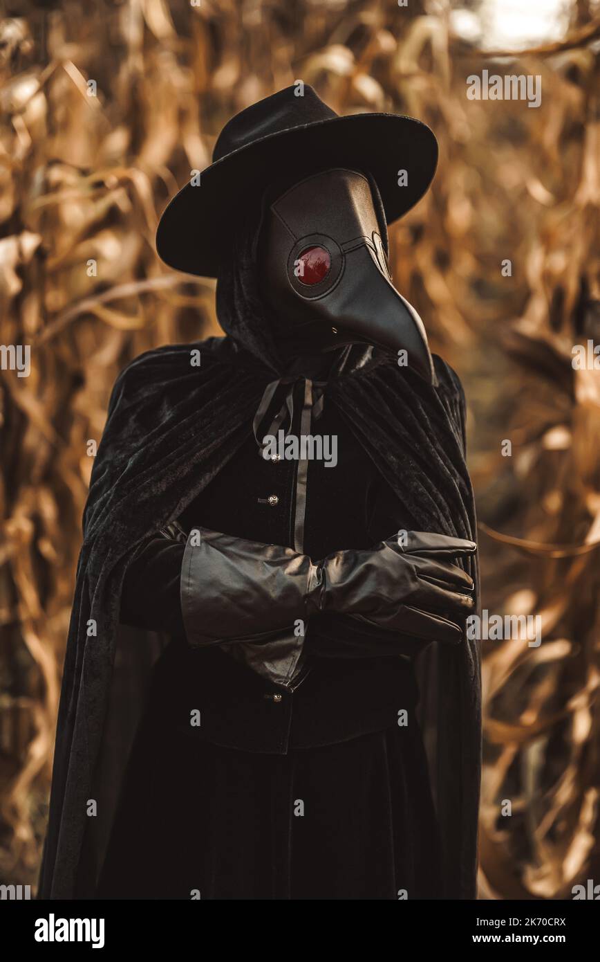 Plague doctor gothic woman standing in autumn thickets of corn. Creepy ...