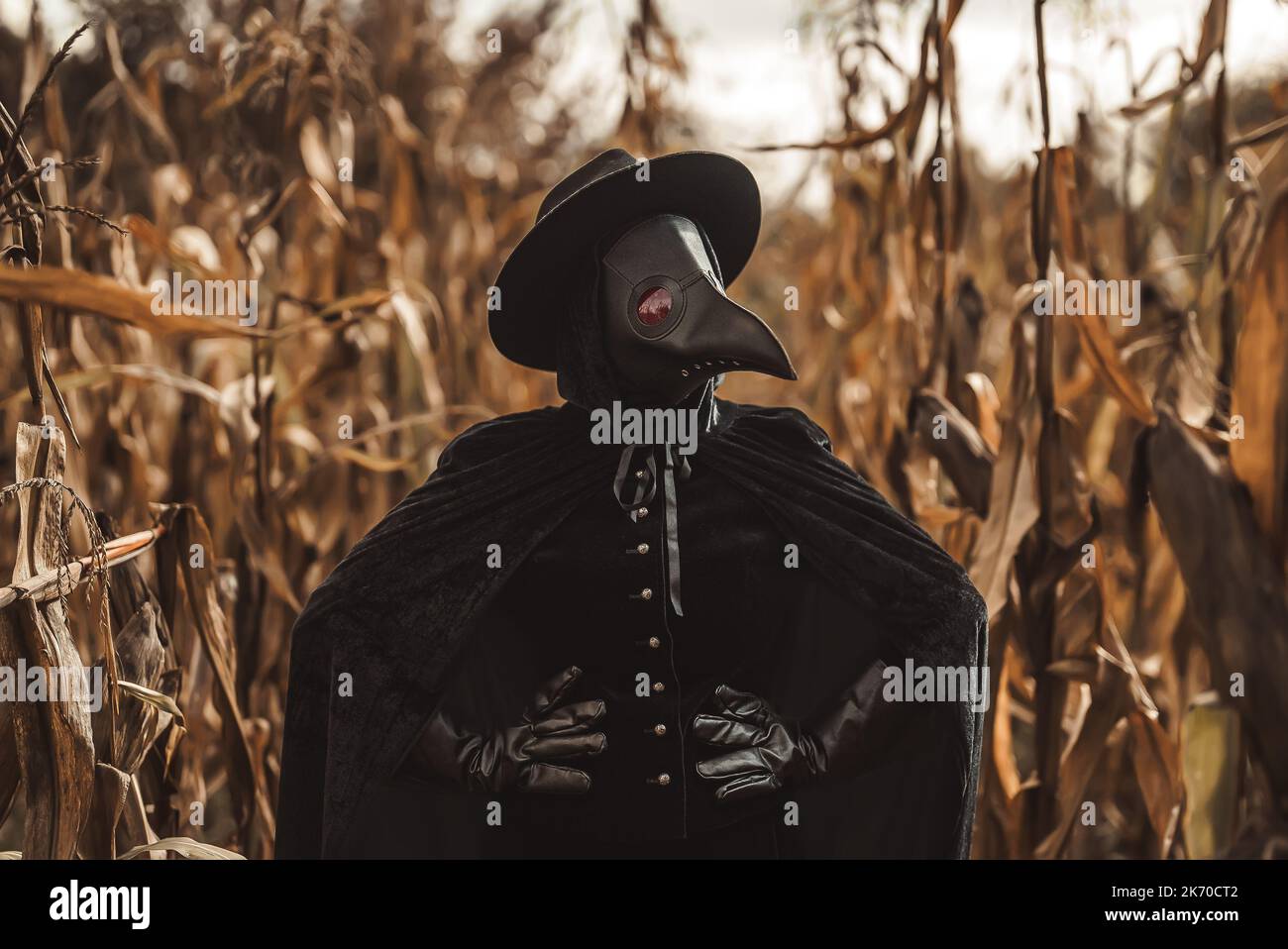 Plague doctor gothic woman standing in autumn thickets of corn. Creepy ...
