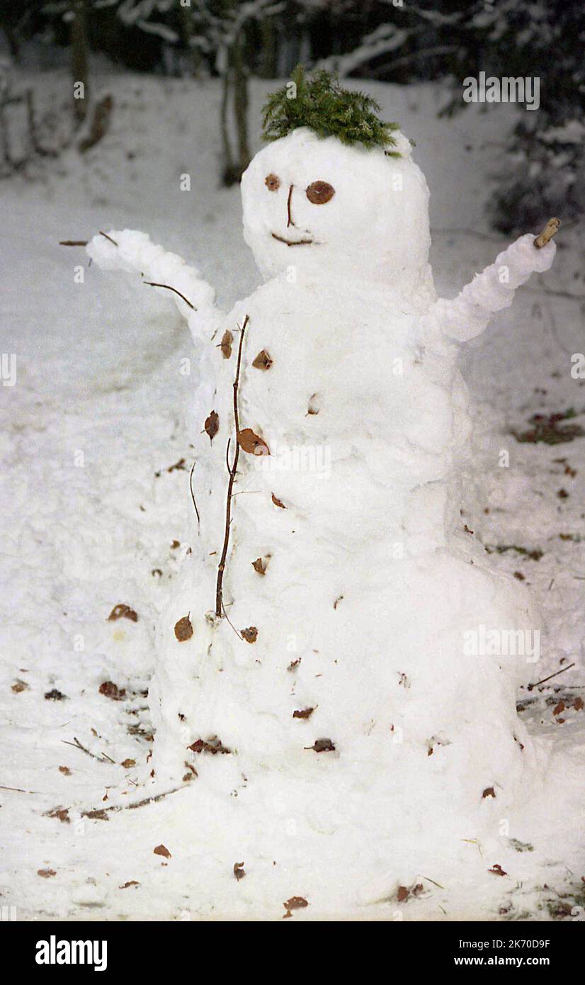 Cute snowman in backyard Stock Photo - Alamy