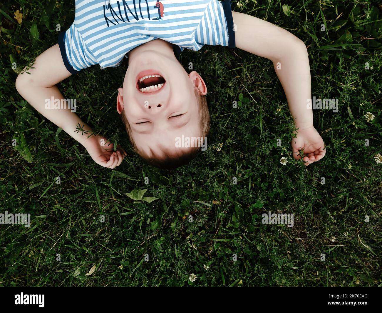 Laughing little boy lying on green grass outdoors Stock Photo - Alamy