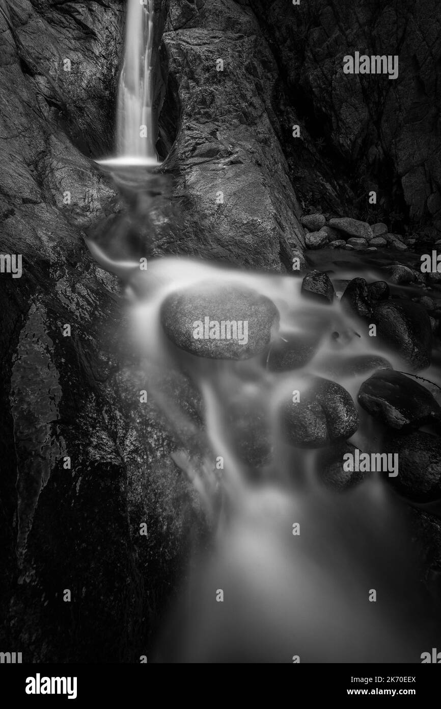 Sur park Black and White Stock Photos & Images - Alamy