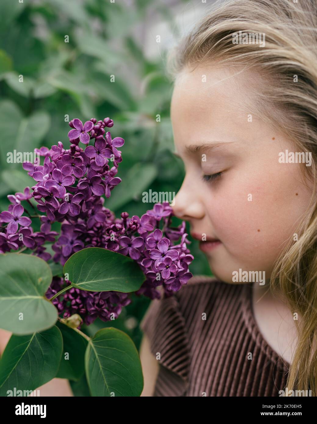 Girl smelling lilac hi-res stock photography and images - Alamy
