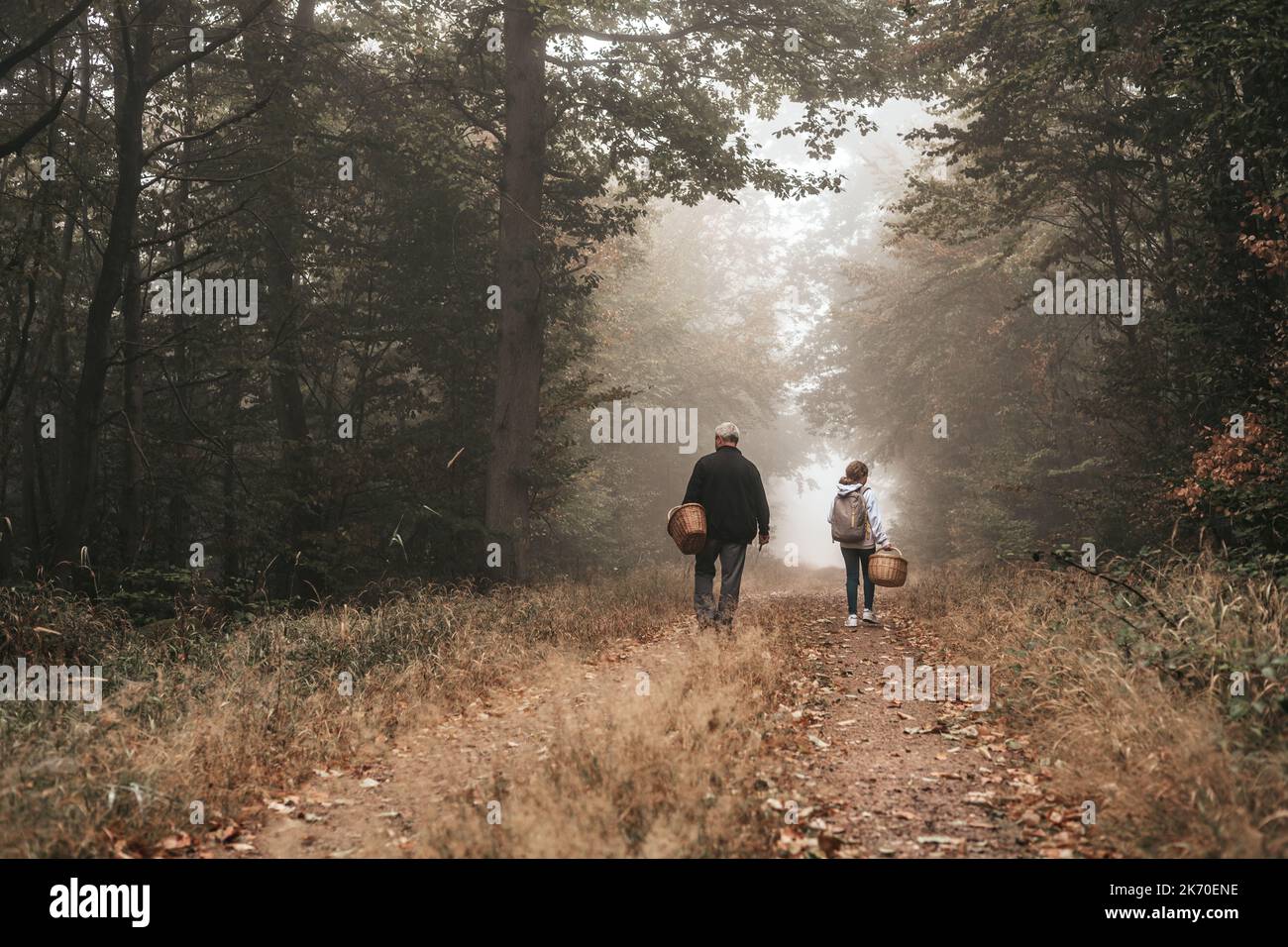 Walk in the fresh air in the autumn misty forest Stock Photo - Alamy