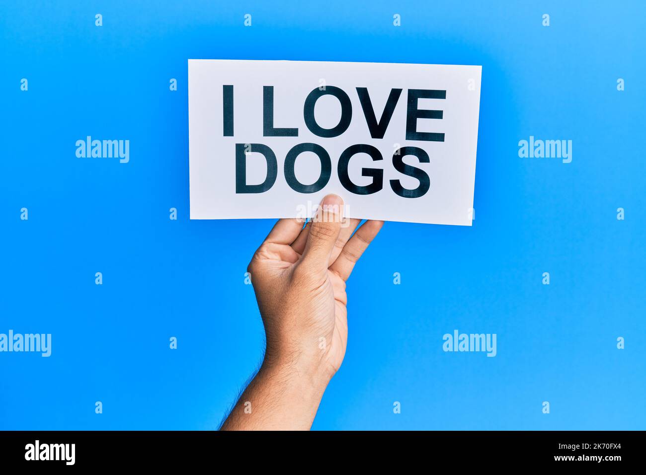 Hand of caucasian man holding paper with i love dogs message over ...