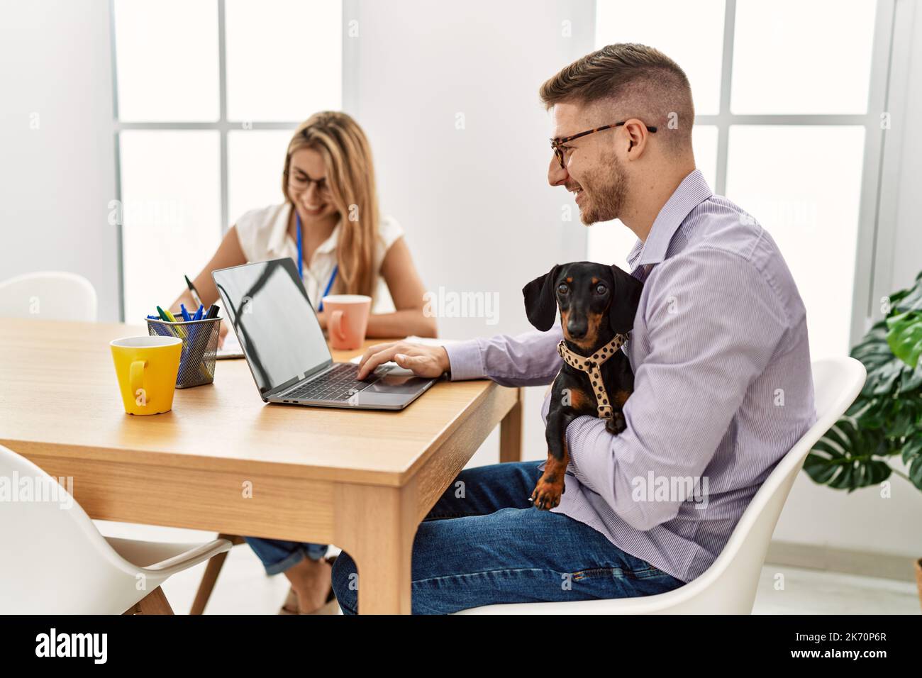 Two business workers smiling happy working with dog at the office Stock ...