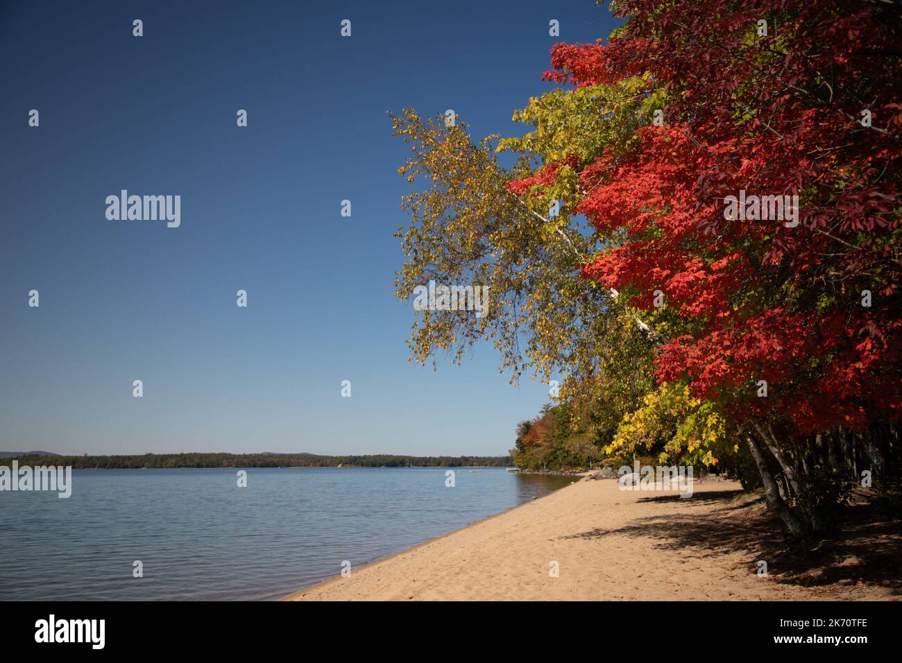 Vibrant fall colors at Sebago Lake Stock Photo - Alamy