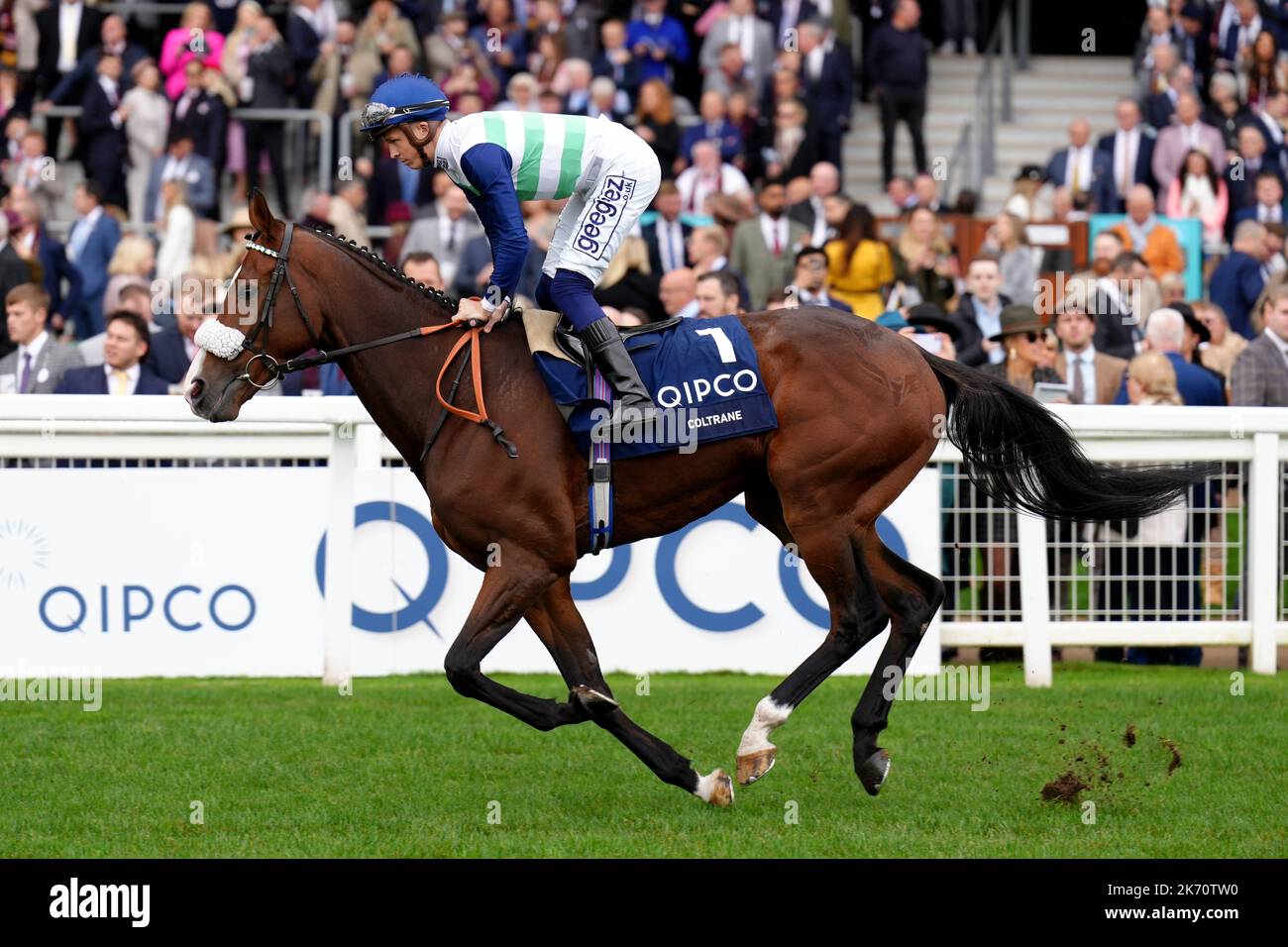 Coltrane ridden by David Probert goes to post in The Qipco British ...