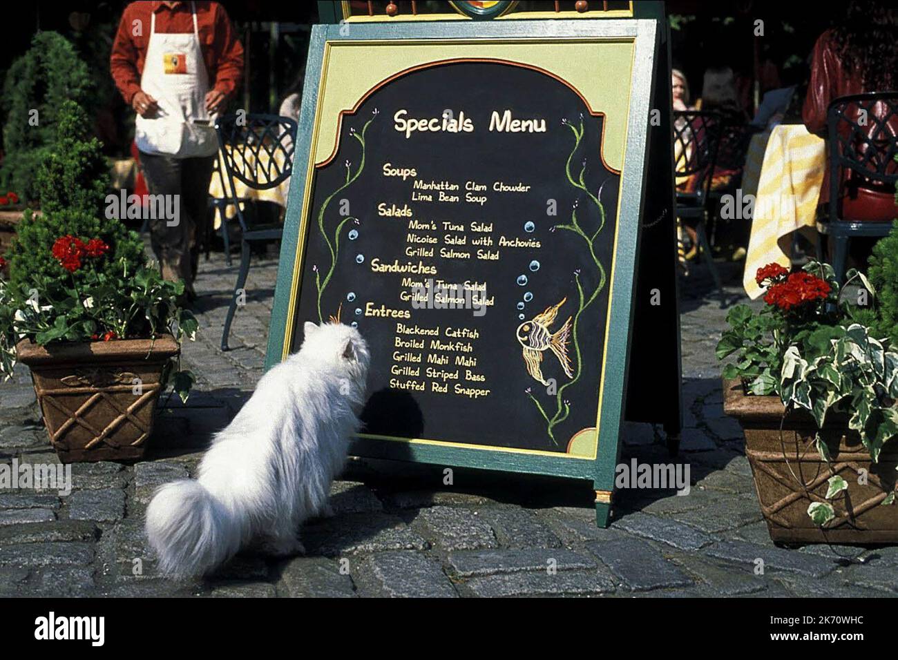 SNOWBELL THE CAT, STUART LITTLE 2, 2002 Stock Photo - Alamy
