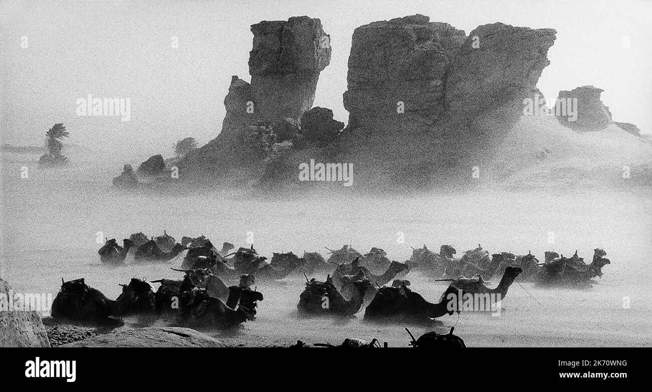 CAMELS REST IN DESERT, UNTOUCHED BY THE WEST, 2002 Stock Photo - Alamy