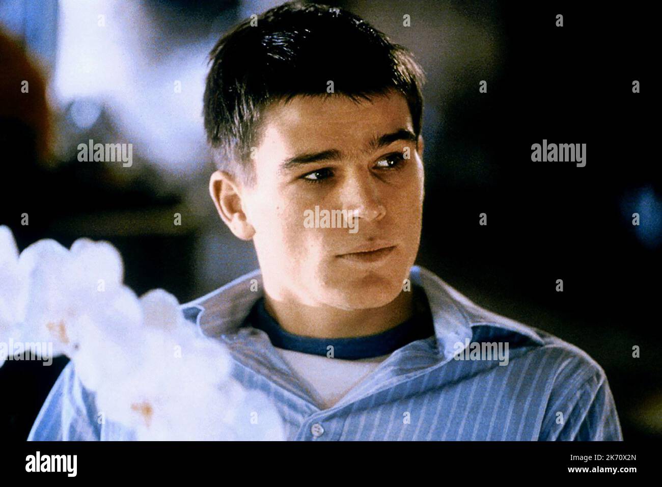 JOSH HARTNETT, 40 DAYS AND 40 NIGHTS, 2002 Stock Photo - Alamy