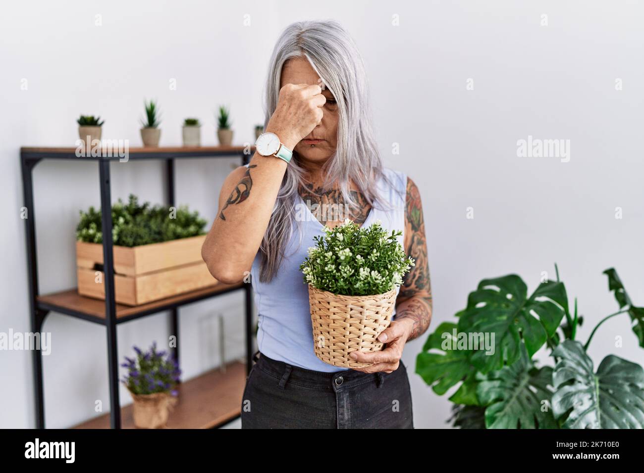 Middle age grey-haired woman holding green plant pot at home tired ...