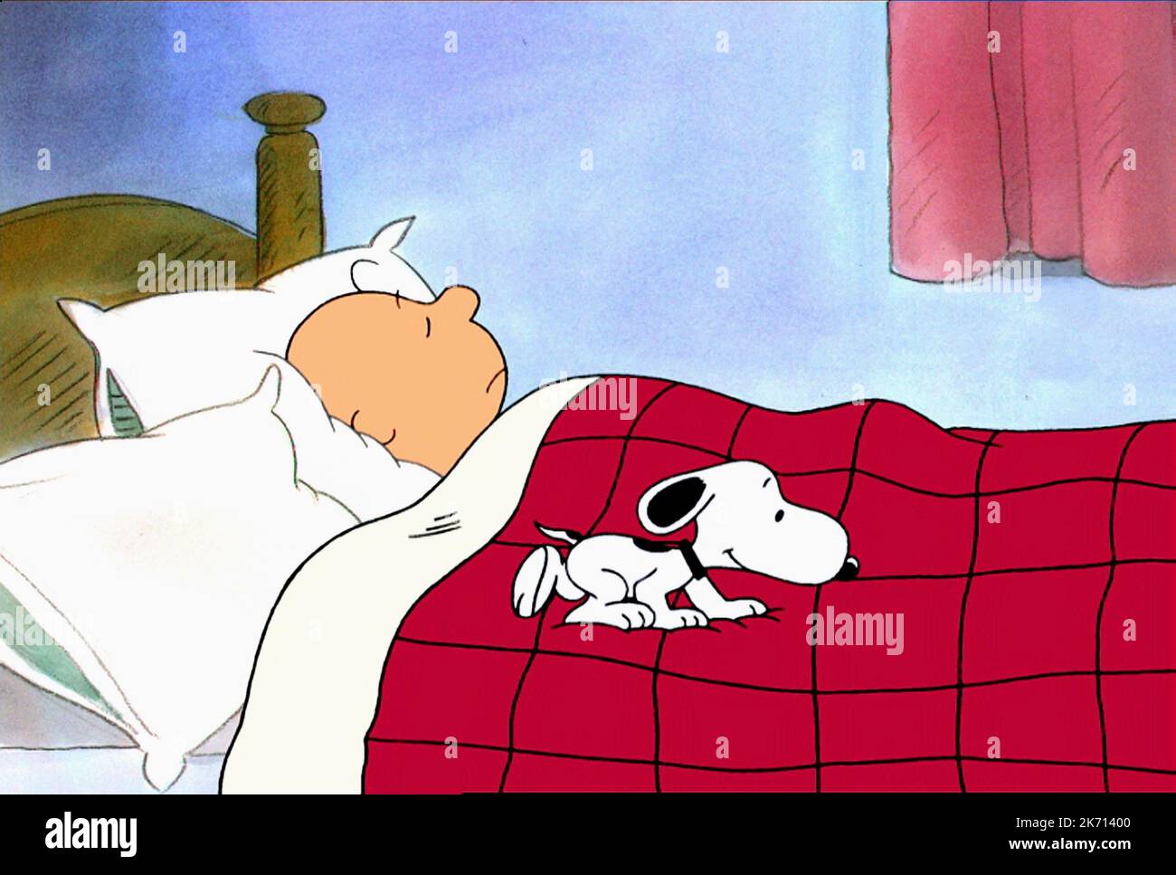 Sleeping Snoopy