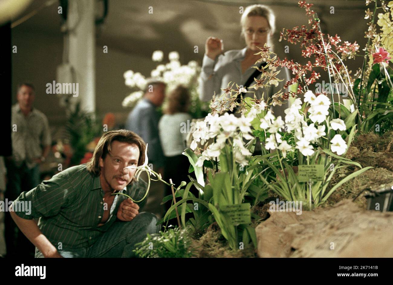 CHRIS COOPER, MERYL STREEP, ADAPTATION, 2002 Stock Photo - Alamy