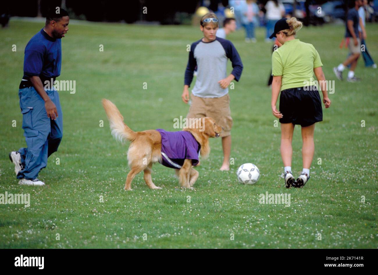 Air bud football hi-res stock photography and images - Alamy