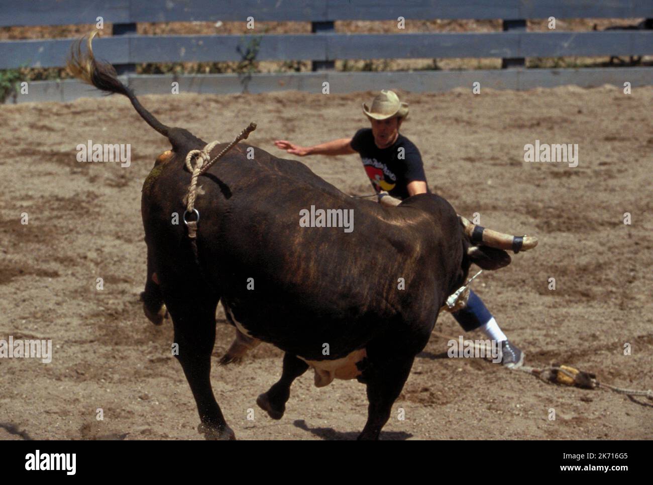 MAN WITH BULL, JACKASS: THE MOVIE, 2002 Stock Photo - Alamy