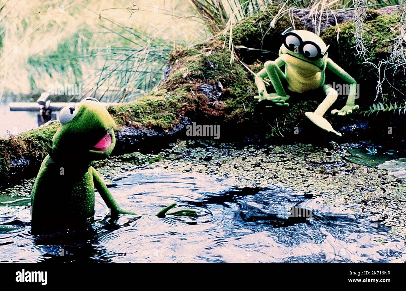 Kermit goggles kermits swamp years hi-res stock photography and images ...