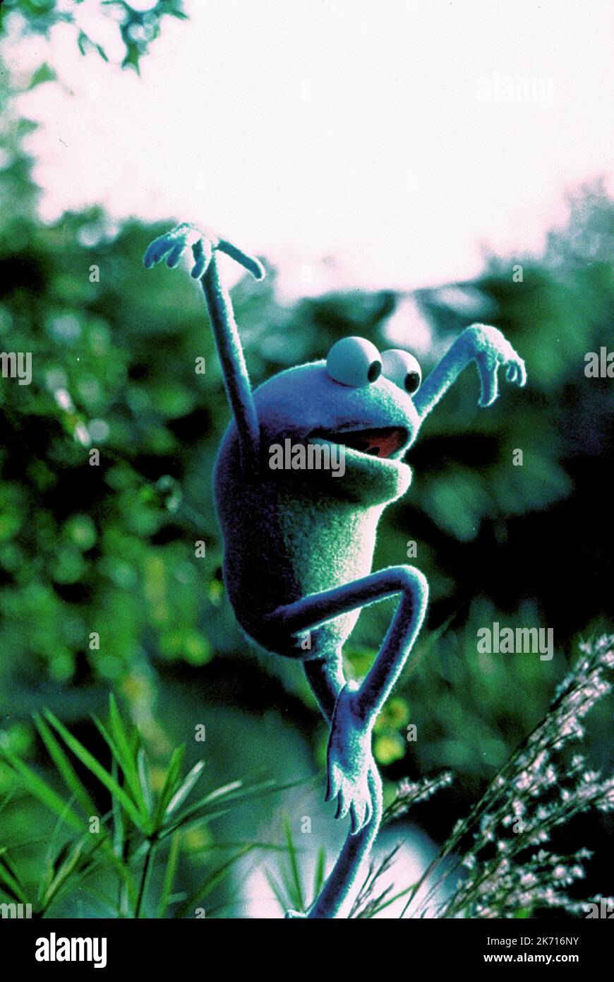 CROAKER, KERMIT'S SWAMP YEARS, 2002 Stock Photo - Alamy