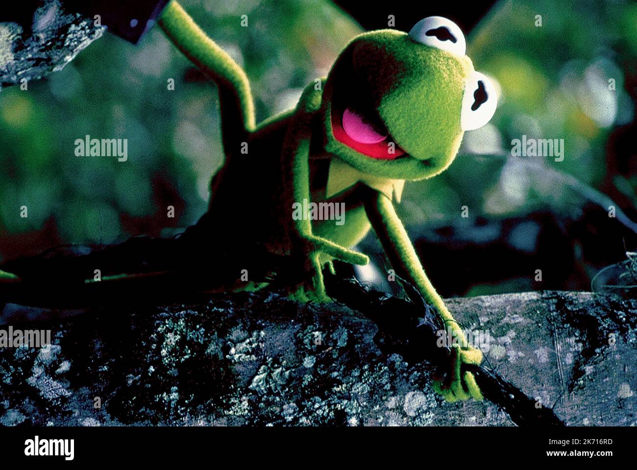 KERMIT, KERMIT'S SWAMP YEARS, 2002 Stock Photo - Alamy