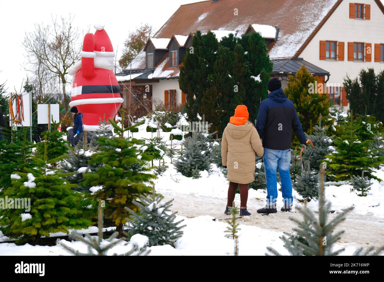 Christmas tree.Family Christmas customs and traditions. Father and ...