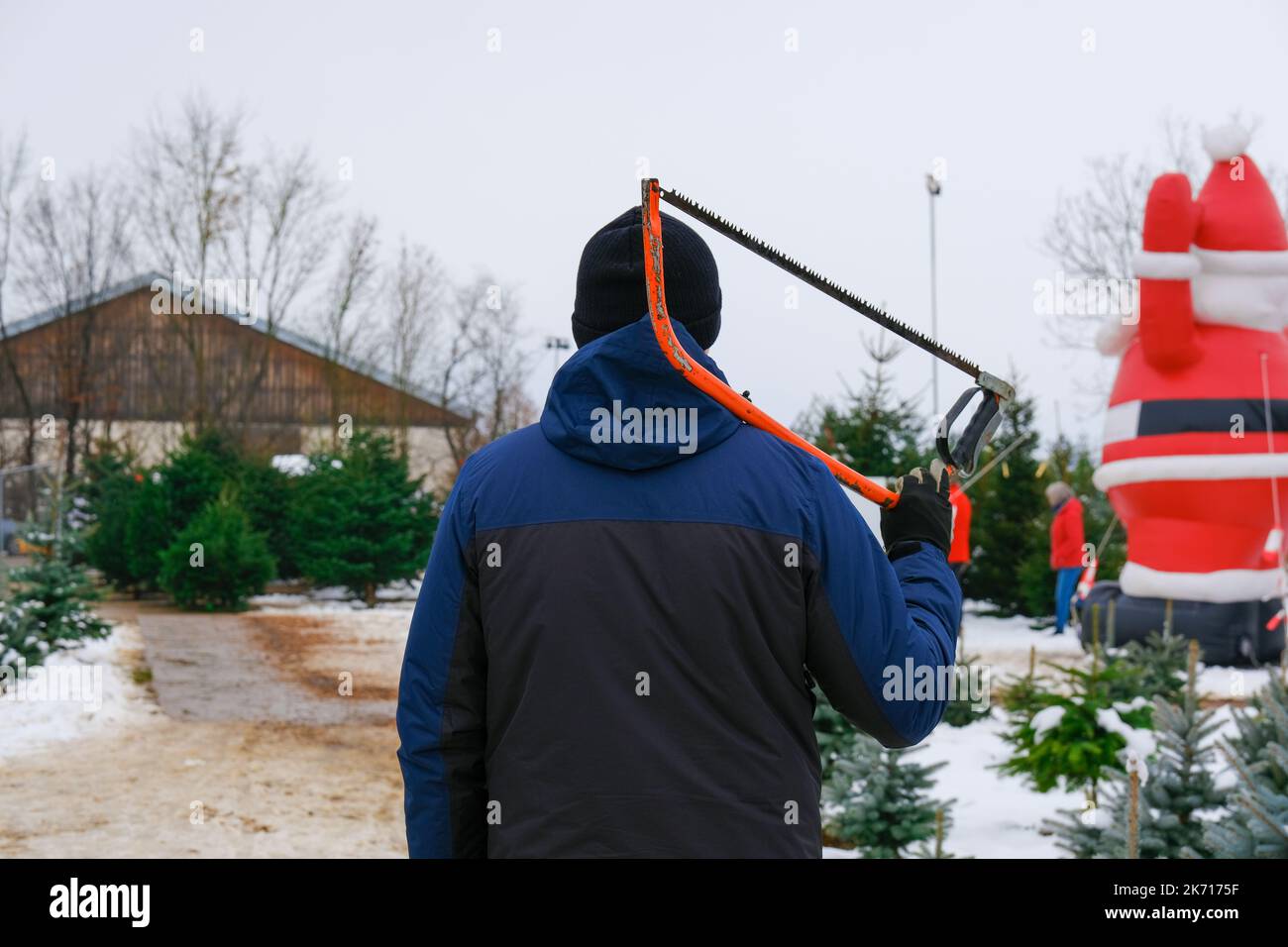 Christmas tree.Aman with a saw chooses a Christmas tree at the ...
