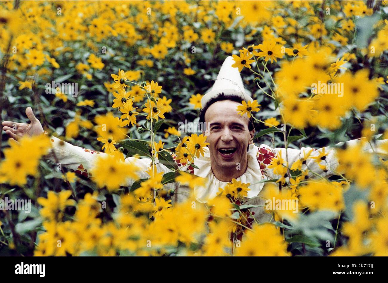 Benigni pinocchio hi-res stock photography and images - Alamy