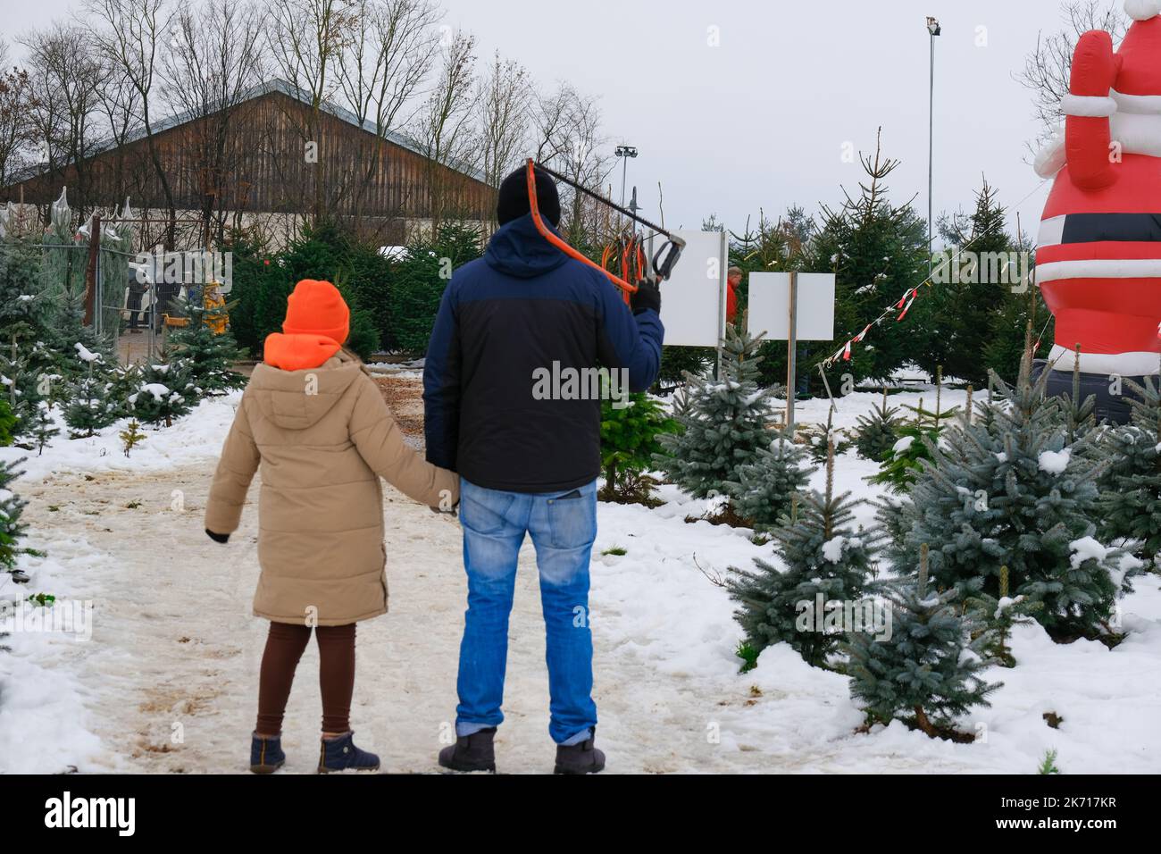 Christmas tree.Father and daughter choose christmas tree at winter ...