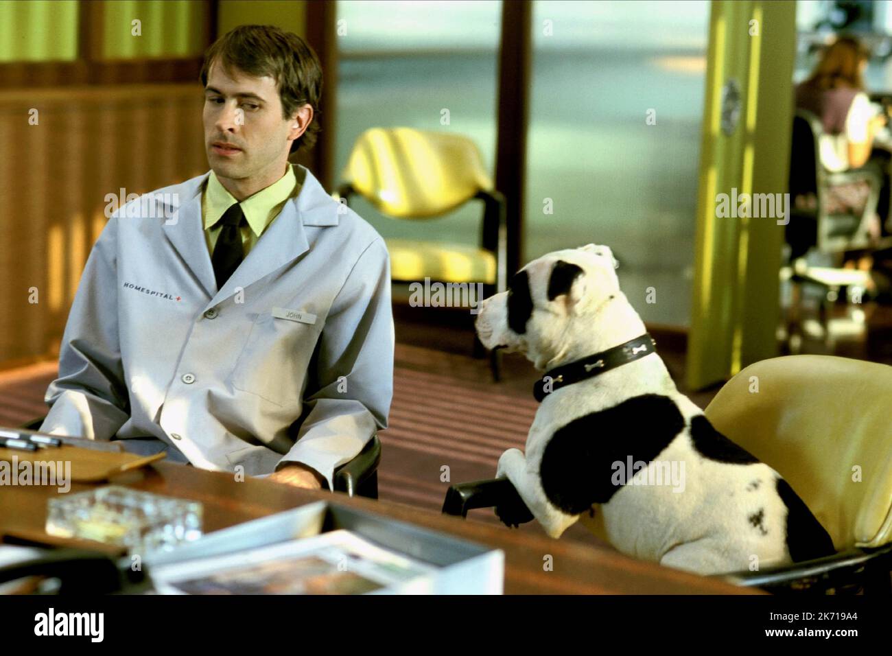 Plummer dog hi-res stock photography and images - Alamy