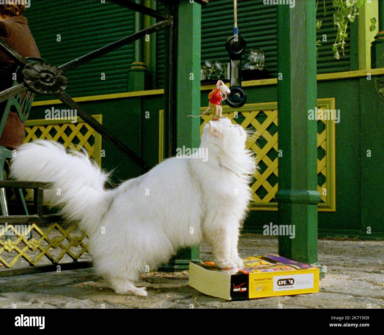 Snowbell the cat hi-res stock photography and images - Alamy