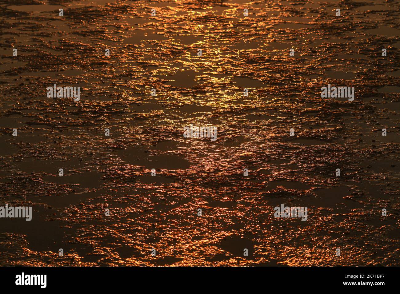 Mud texture on the beach with dramatic sunset backlighting Stock Photo ...