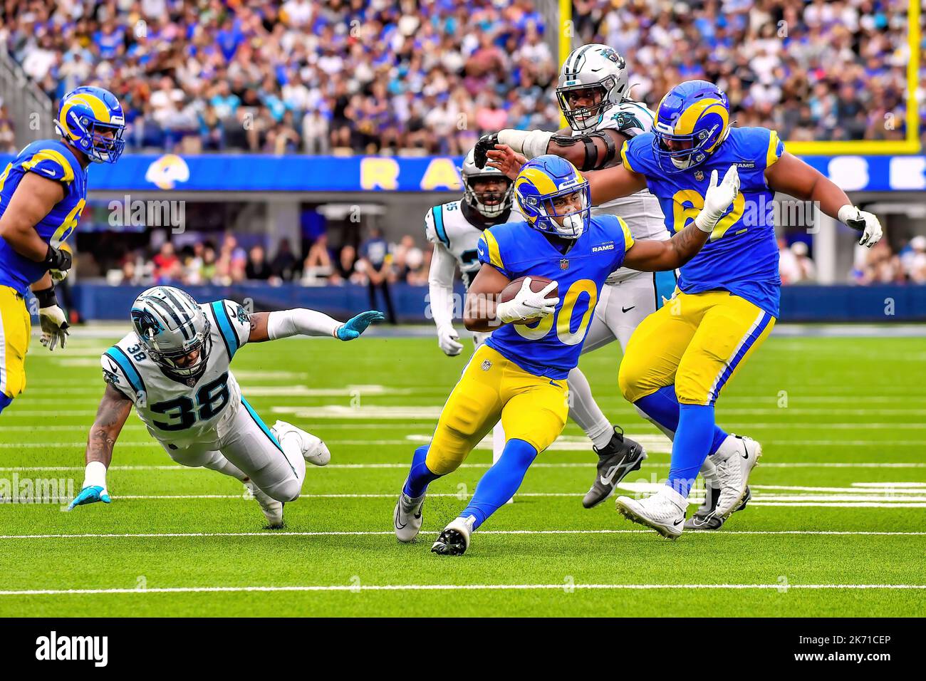 Rams panthers 2022 hi-res stock photography and images - Alamy